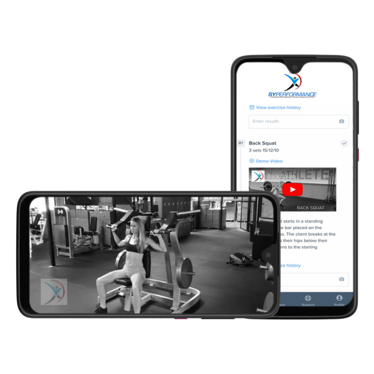 Transform Your Body In 90 Days - SY Performance | Personal Training ...