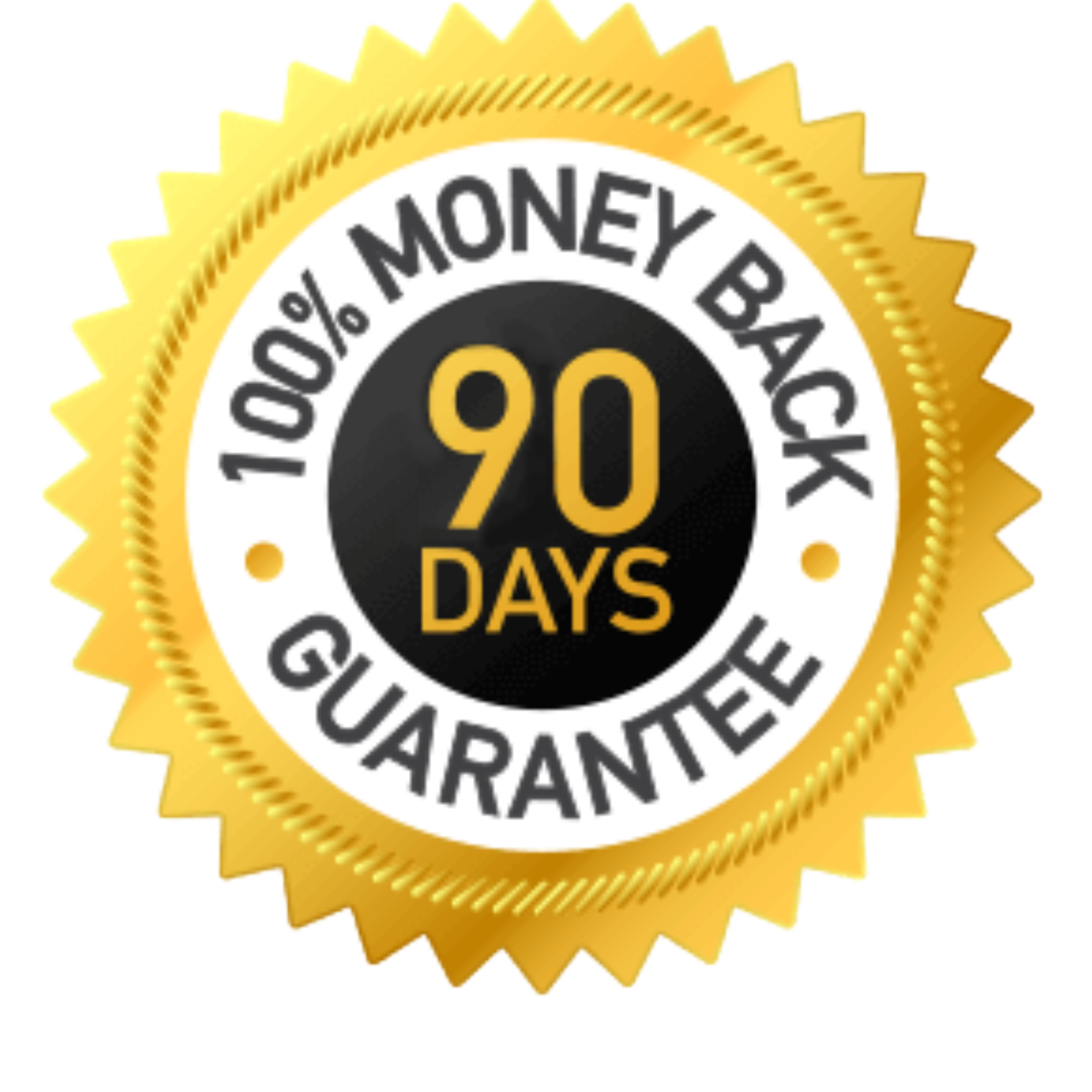 90 Day Body Transformation Program - SY Performance | Personal Training ...